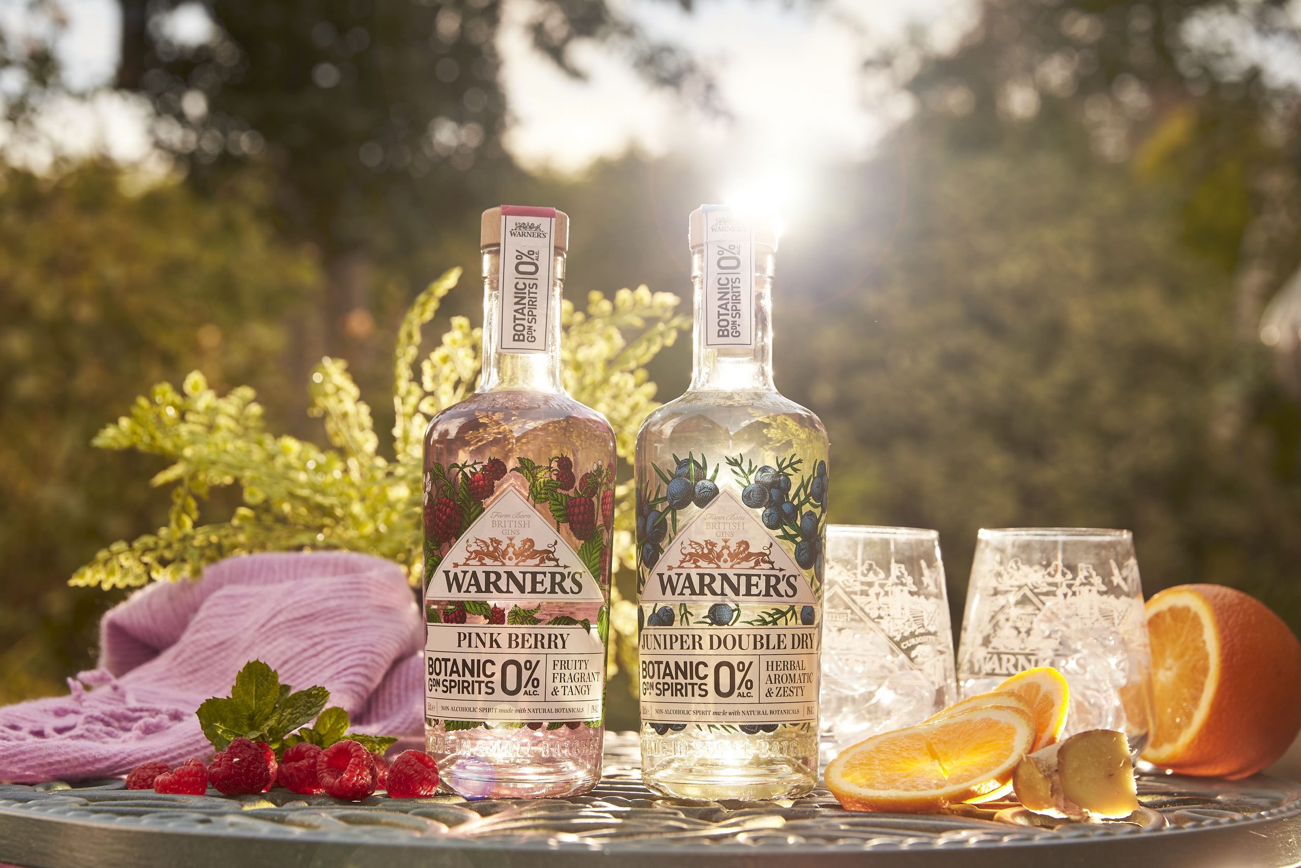 The Rise of the NOLO Market - Verallia UK